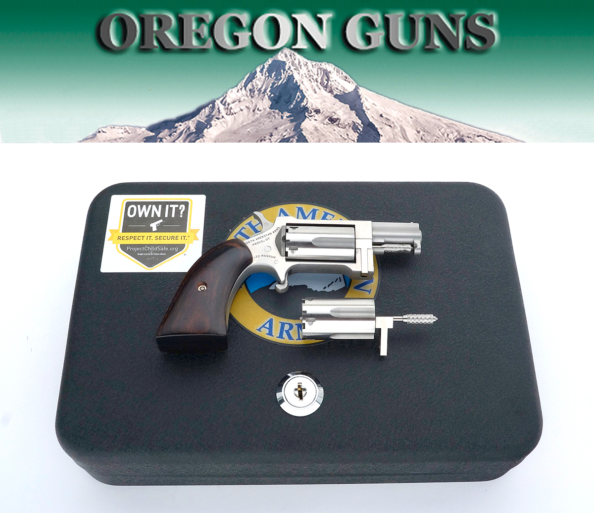 North American Arms NAA STAINLESS SIDEWINDER TWO CYLINDERS MINI ...