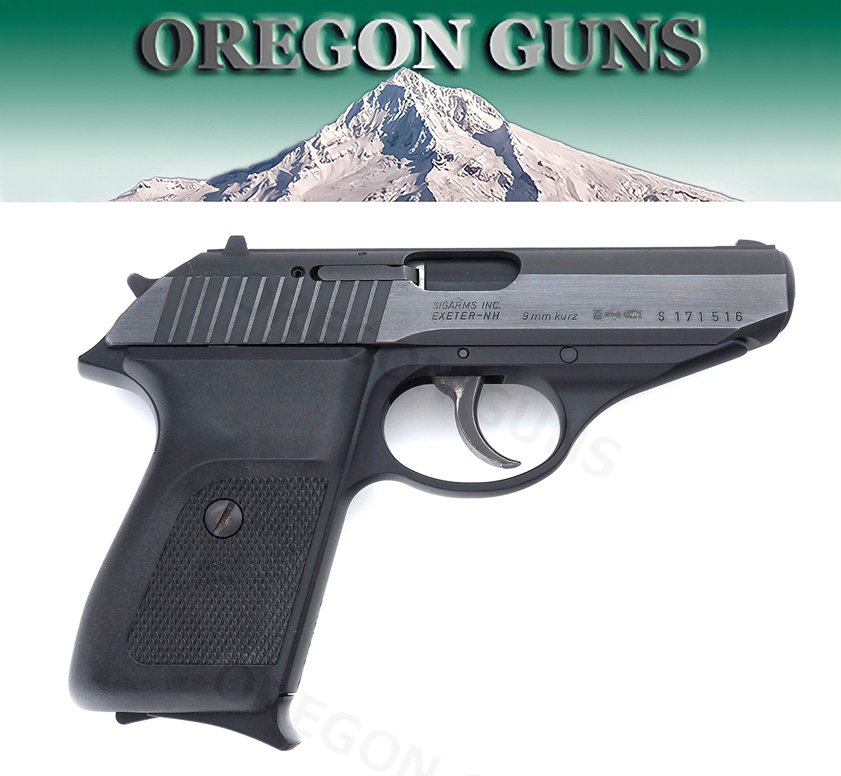 Sig Sauer Sigarms P230 Blue .380 Acp Semiauto Pistol Extra Mags ...