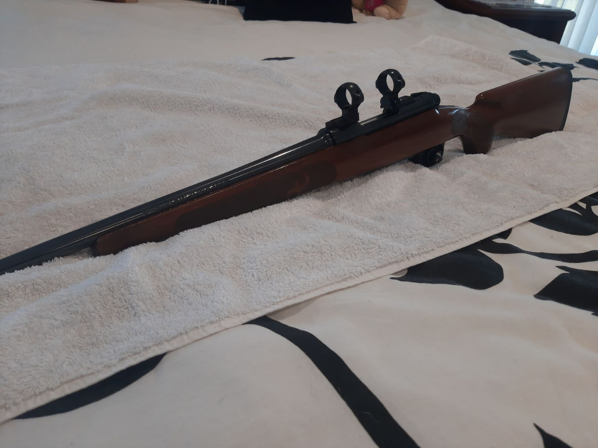 308 Winchester .308 Win. For Sale at GunAuction.com - 17235793