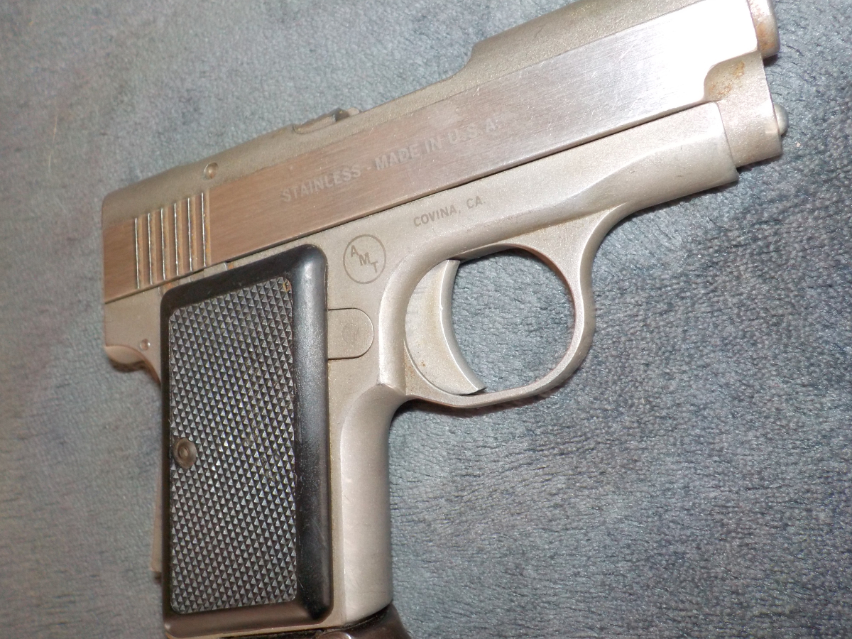 Amt Back Up 380 Auto .380 Acp For Sale at GunAuction.com - 17014530