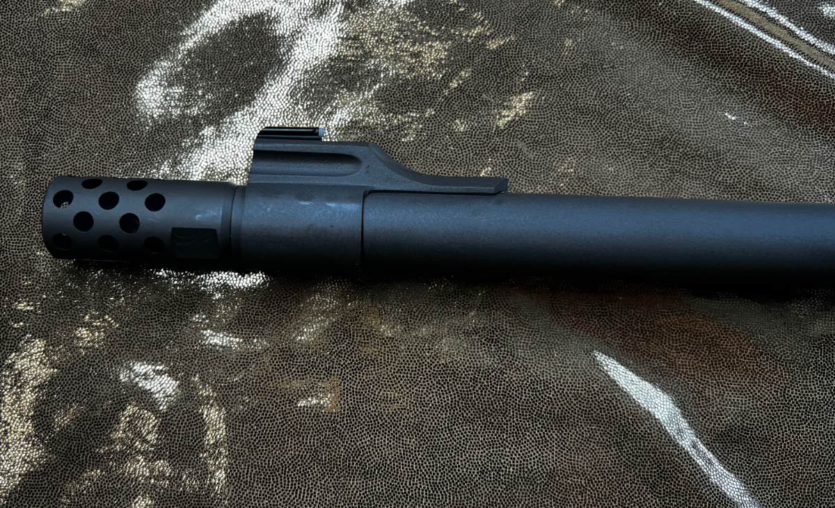 Ruger M77 Hawkeye Guide Gun Rifle 20 barrel Matte Stainless Green ...