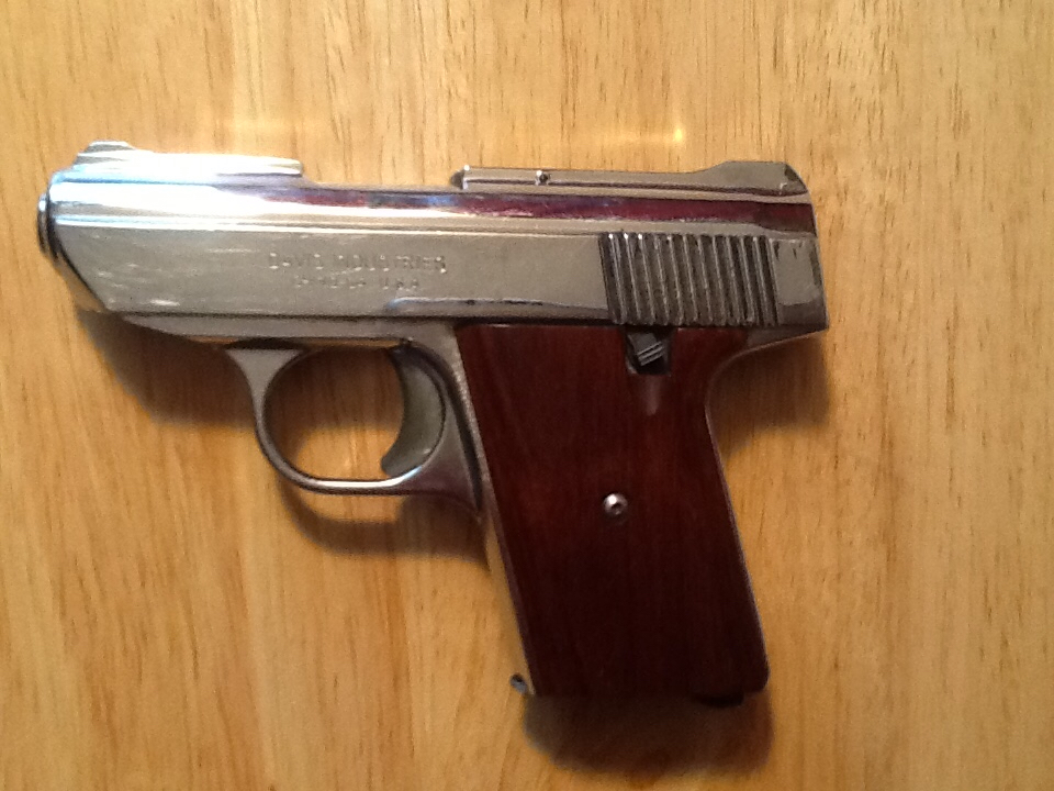 Davis Arms P32 Davis Arms Model P32 32 Auto .32 S&W For Sale at ...