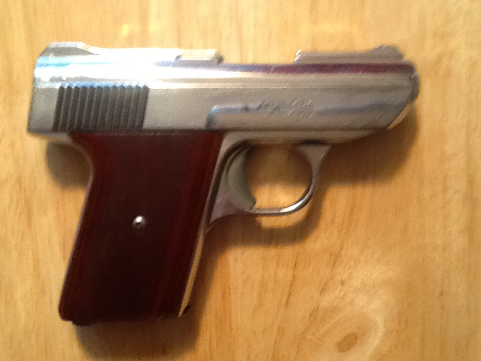 Davis Arms P32 Davis Arms Model P32 32 Auto .32 S&W For Sale at ...