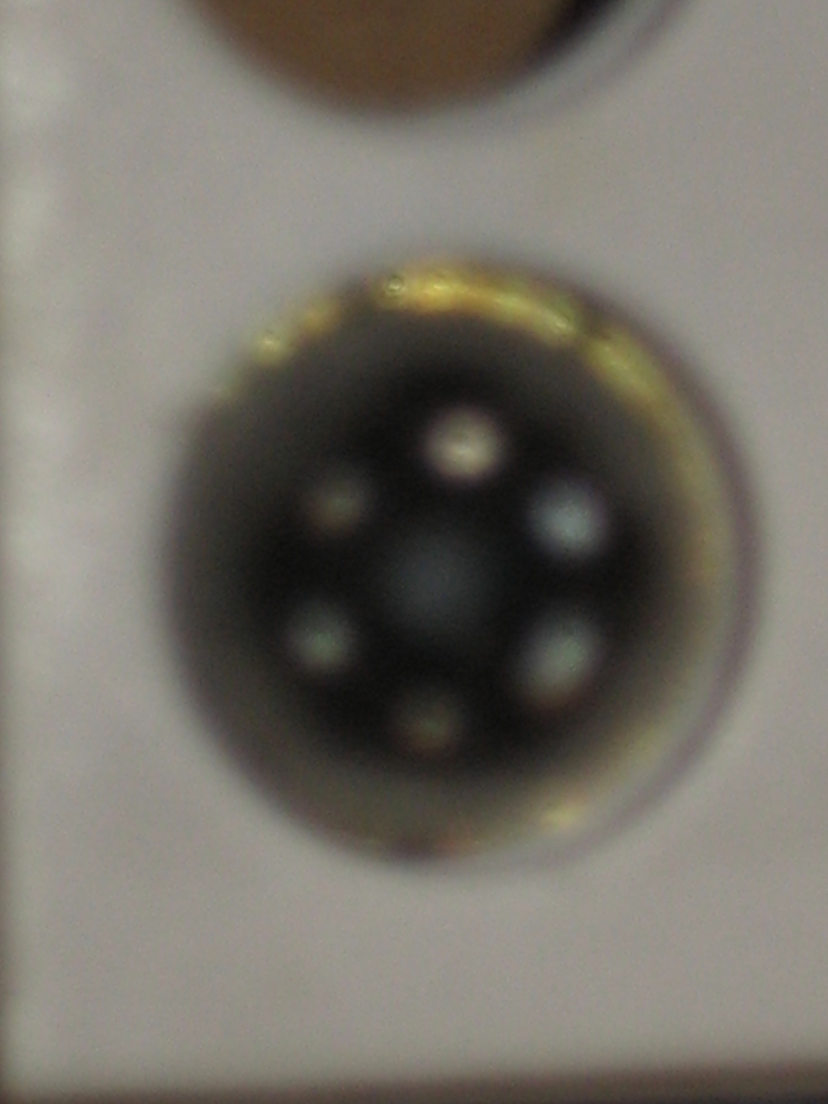 Winchester Ranger Sxt Controlled Expansion 147 Gr. (Original Black ...