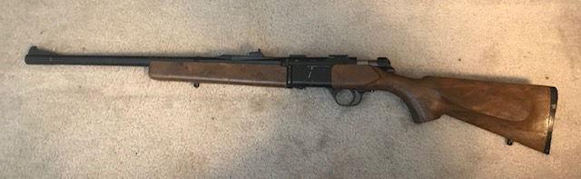 Daisy Legacy Model 2202 .22 Lr For Sale at GunAuction.com - 15914509