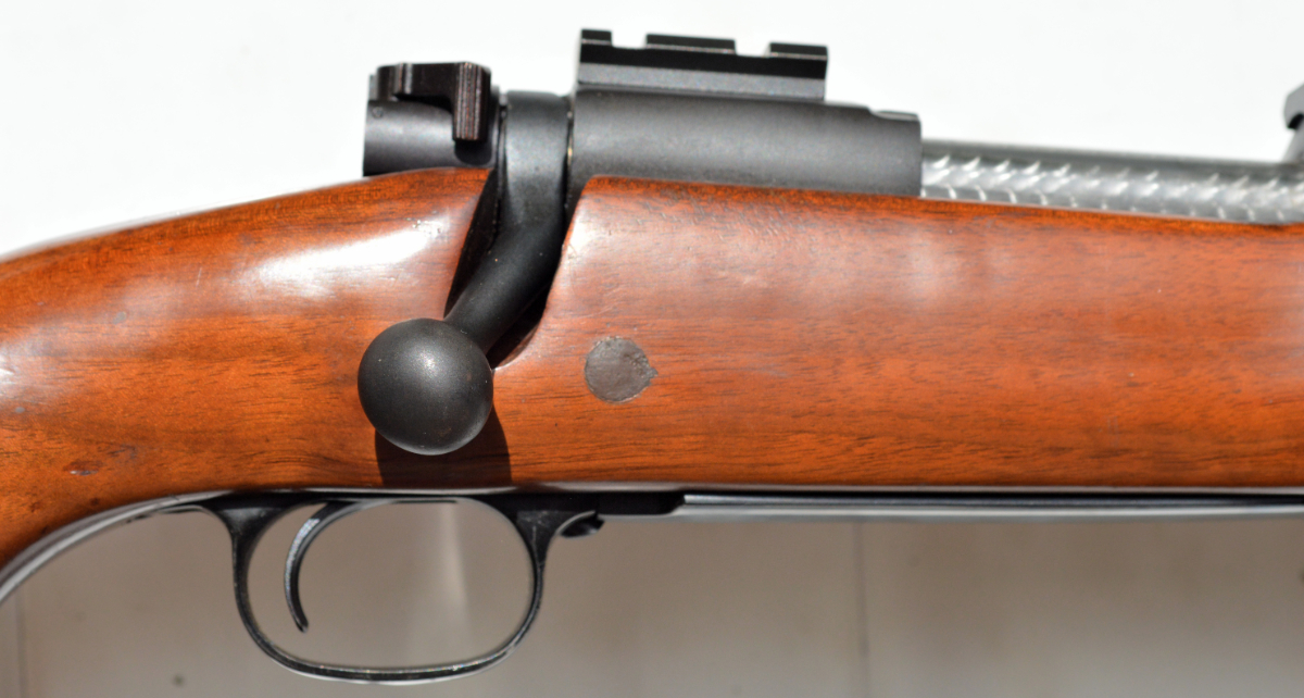 Payment and Shipping Instructions: