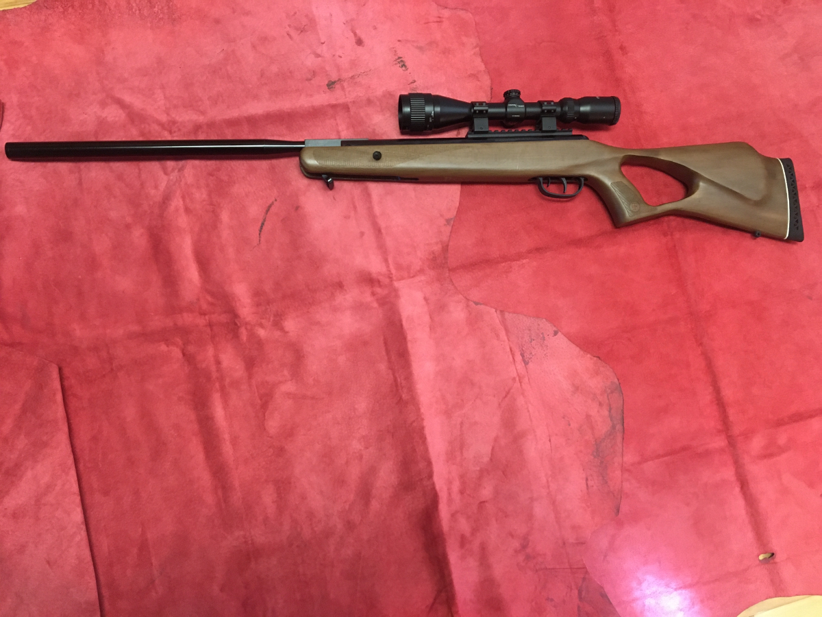 BENJAMIN TRAIL NP .22CAL .22 LR 17187774 - GunAuction.com