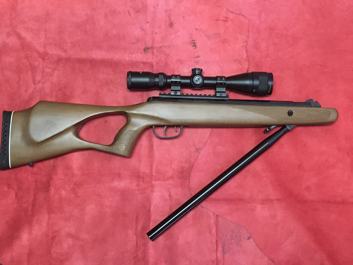 BENJAMIN TRAIL NP .22CAL .22 LR 17187774 - GunAuction.com