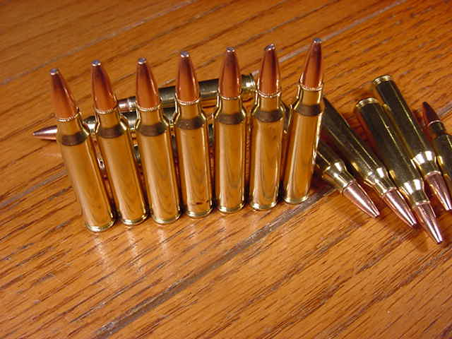 15 Rounds Of Speer .223 Rem. Jacketed Hollow Point .223 Rem. For Sale ...