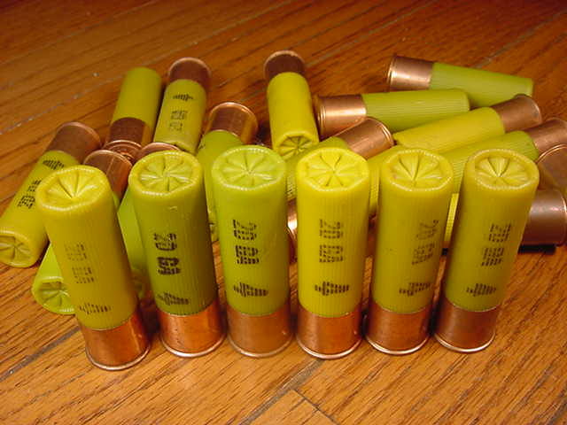 21 Rounds of Remington 20 Gauge Number 4 Shot 17156793 - GunAuction.com