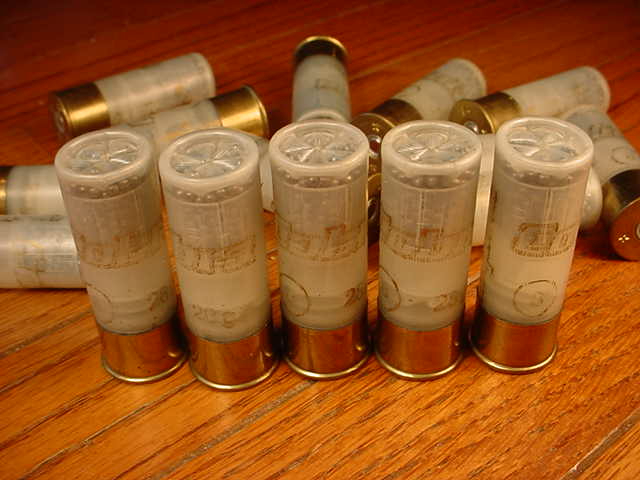 16 Rounds of Fiocchi 12 Gauge Number 8 Shot 17206632 - GunAuction.com