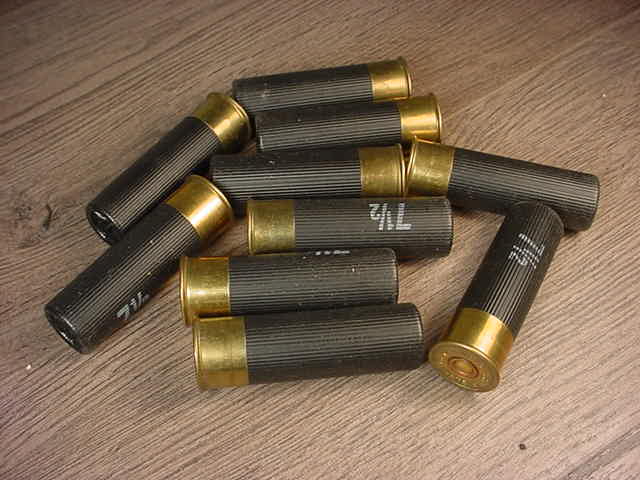 10 Rounds of Remington 16 Gauge Number 7 1/2 Shot