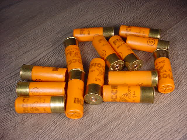 14 Rounds of Fiocchi 12 Gauge Number 6 Shot 17236140 - GunAuction.com