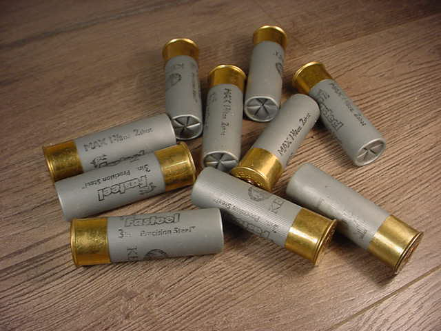 10 Rounds of Kent Fasteel 12 Gauge 3 Inch Number 2 Shot 17272449 ...