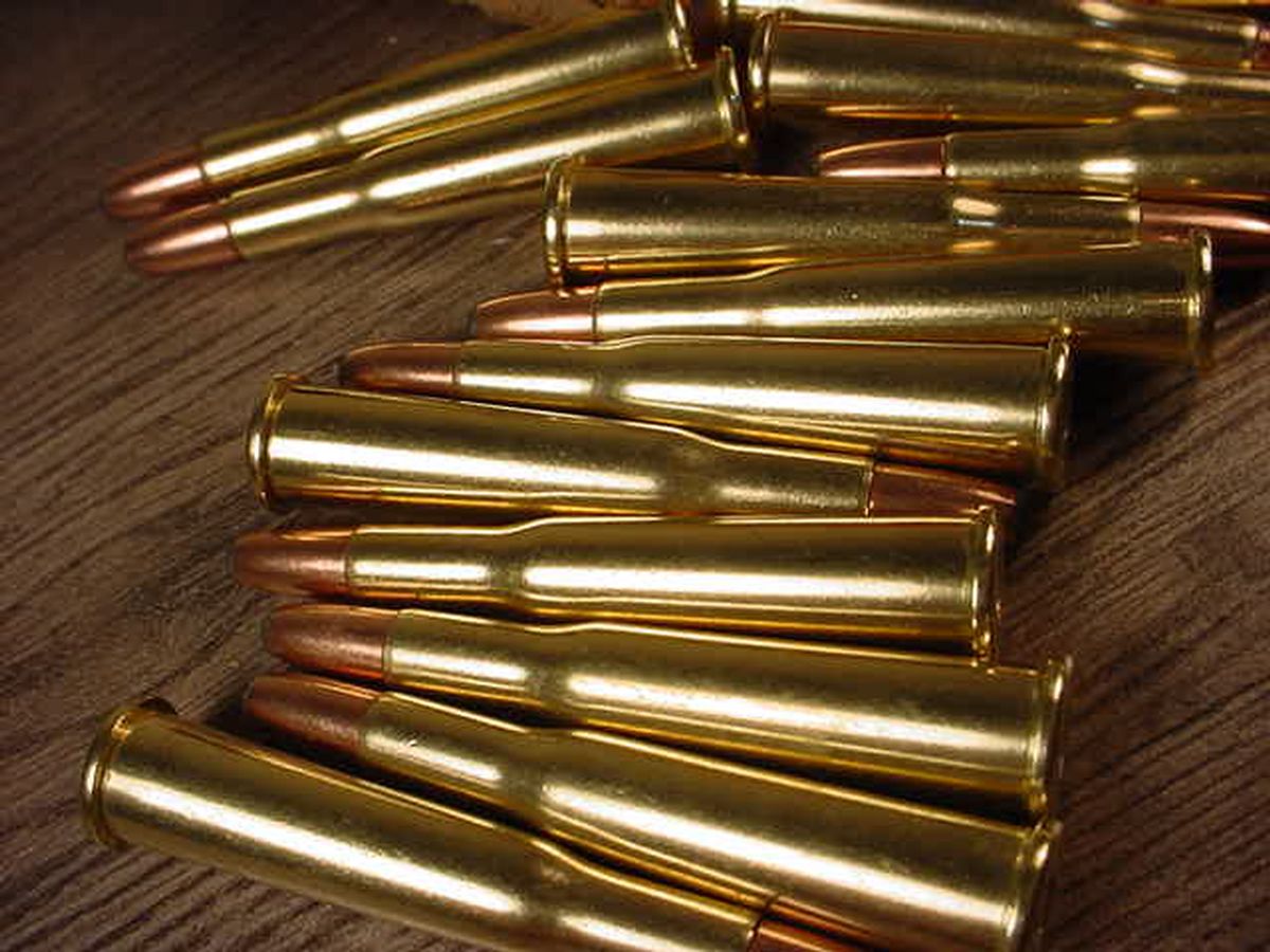 17 Rounds Of United States Cartridge Company .25-35 Win. Semi-Jacketed ...