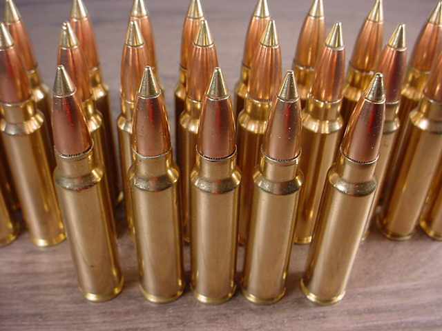 25 Rounds Remington .300 Savage Semi-Jacketed Bronze Tip .300 Savage ...