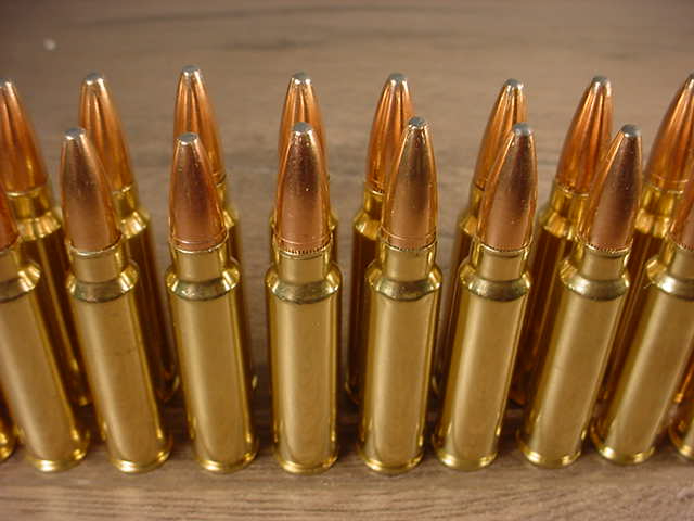20 Rounds Remington .300 Savage Semi-Jacketed Soft Point 17333309 ...