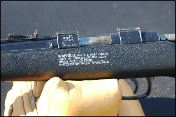 Daisy Model 8 .22 Cal S/L/Lr Bolt Action Rifle For Sale at GunAuction ...