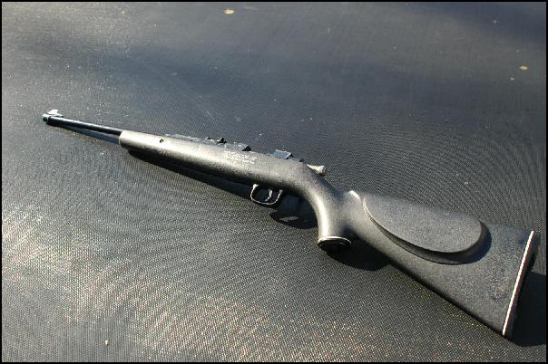 Daisy Model 8 .22 Cal S/L/Lr Bolt Action Rifle For Sale at GunAuction ...