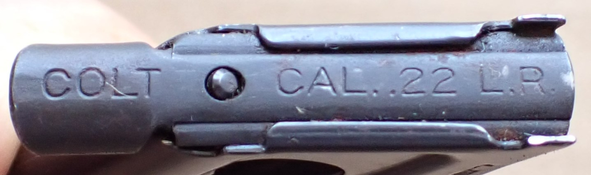 COLT 22 LONG RIFLE PISTOL CLIP, 10 ROUNDS, NEVER FIRED IN A FIREARM ...