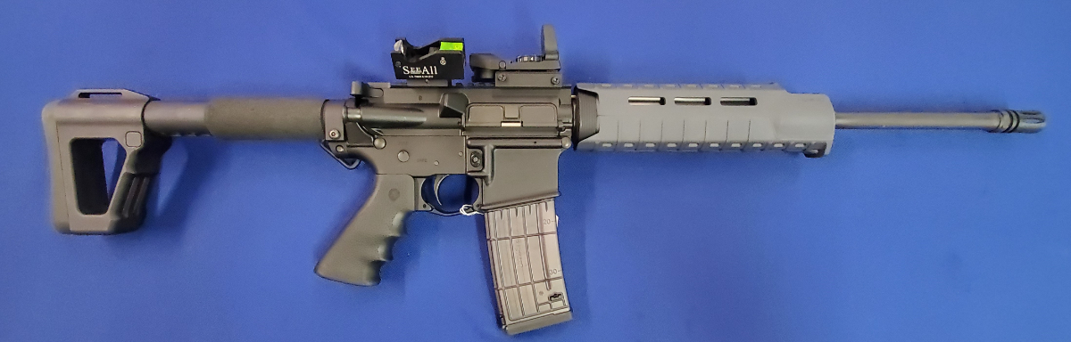 Del-Ton DTI-15 COMES WITH SIGHTS SLING 8 MAGS AND 1000 ROUNDS OF ...