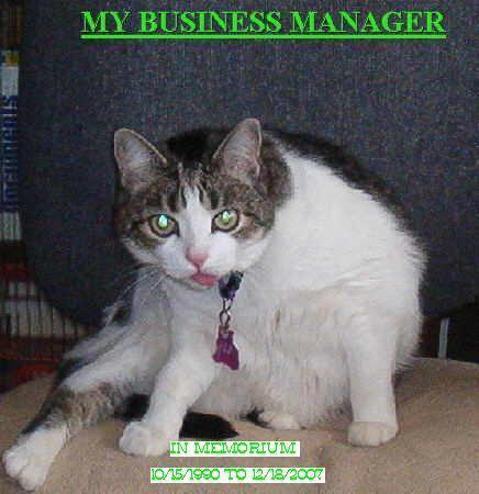 H.Schmidt Model 121 357 Magnum Revolver Single Action Very Nice For ...