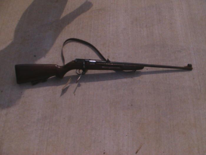 Romanian 22 Cal For Sale at GunAuction.com - 9320647