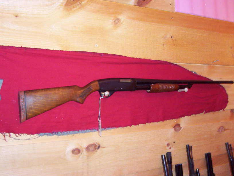 Savage / Stevens Model 77b Pump Action 20 Gauge Shotgun For Sale at ...