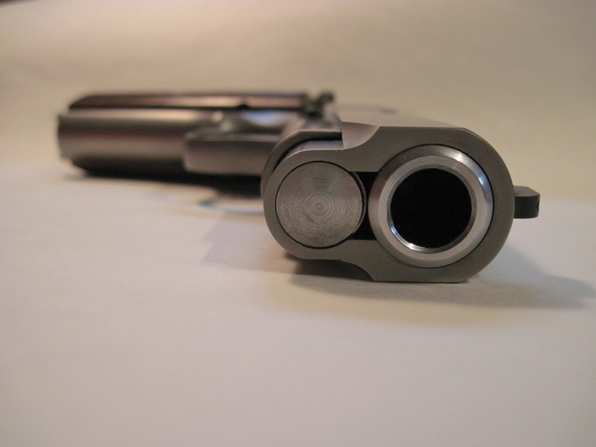 Zenith Tisas Zig M45 1911 Stainless .45 Acp For Sale at GunAuction.com ...