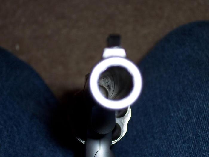 Taurus International Mfg. Co. Taurus M410 Judge 6.5"/Ss .45colt .410 ...