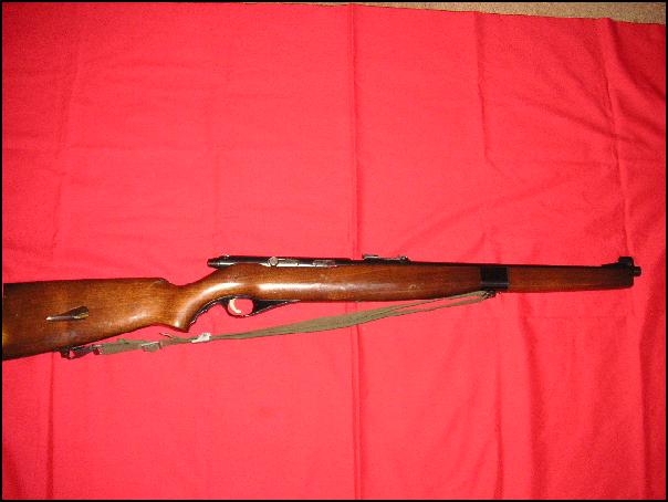 Mossberg 51m(A) .22 Auto For Sale at GunAuction.com - 7696104