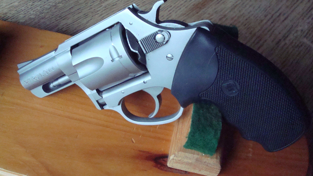 Charter Arms Pitt Bull 9mm 9mm Luger For Sale at GunAuction.com - 16613369