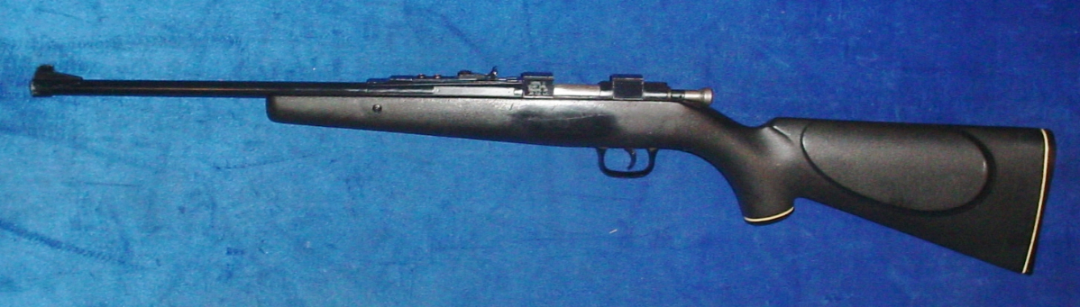 Daisy Model 8 22lr Single Shot Youth Gun .22 Lr For Sale at GunAuction ...