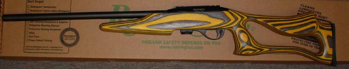Remington Model 597 Yellow Jacket 22 Lr Limited Look For Sale at ...