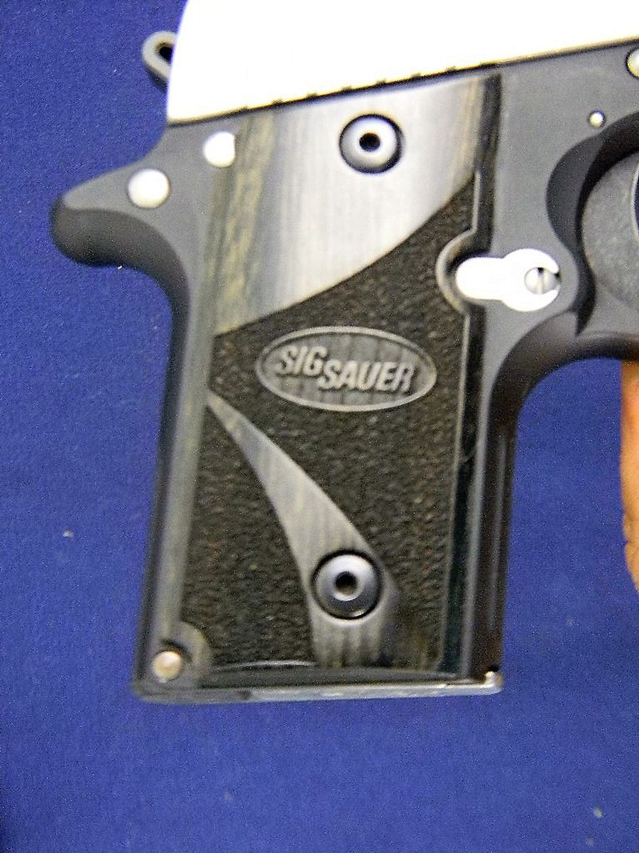 Sig Sauer Fine Model 238 .380 Auto Pistol .380 Acp For Sale at ...