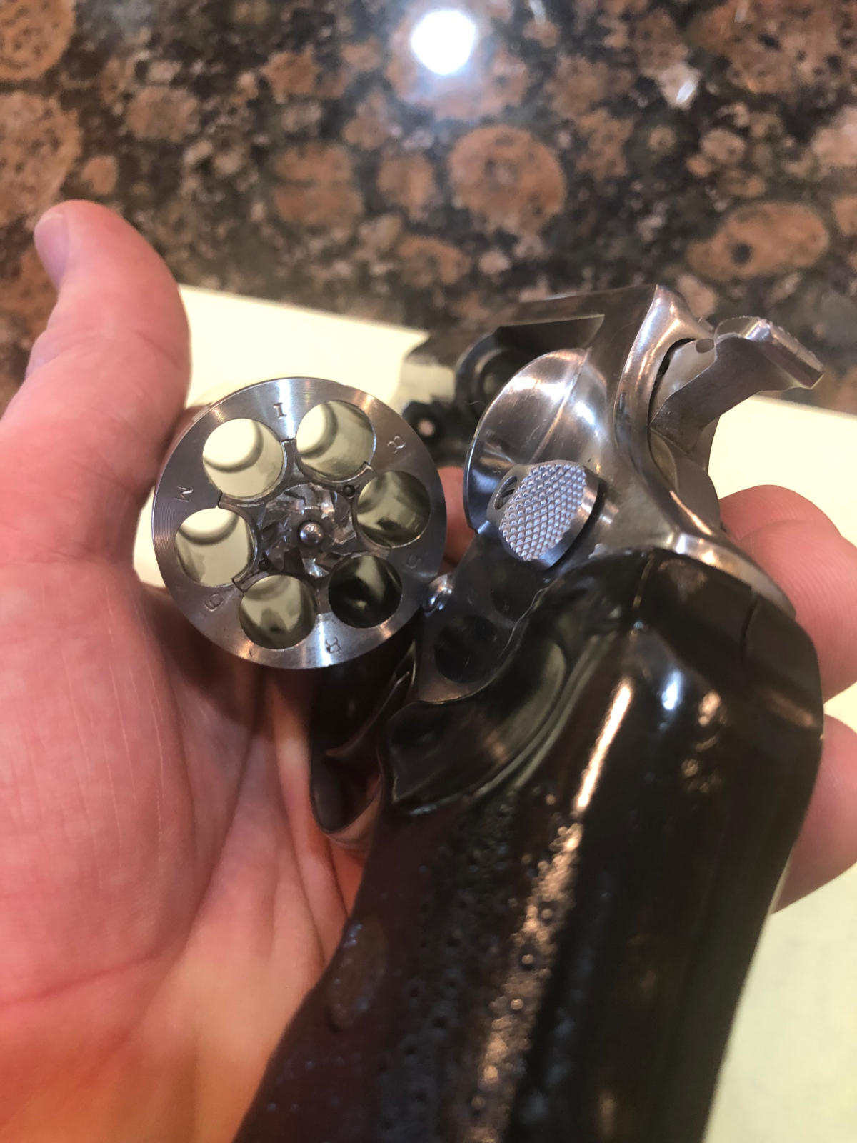 Stainless Rossi 877 .357 Mag .357 Magnum 17184649 - GunAuction.com