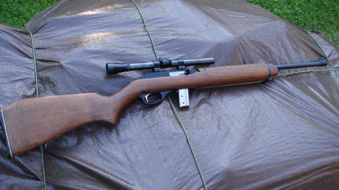 Marlin 989 M2 Carbine For Sale at GunAuction.com - 9326166