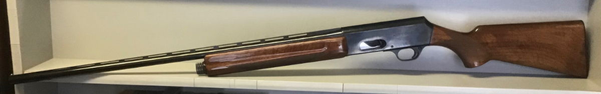 Browning B2000 20 Ga For Sale at GunAuction.com - 17122526