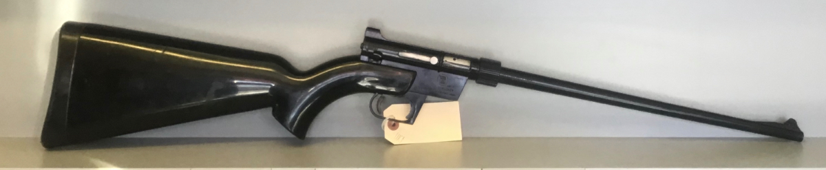 Armalite Ar7 Explorer .22 Lr For Sale at GunAuction.com - 17130907