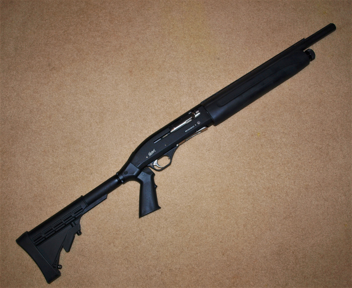 Remington Spr 453 12 Gauge Semi Auto 12 Ga For Sale at GunAuction.com ...