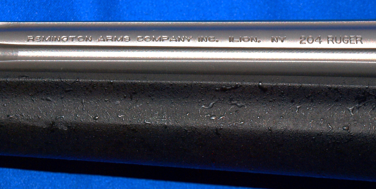 Remington Stainless Varmint Rifle .204 Ruger .204 Ruger For Sale at ...