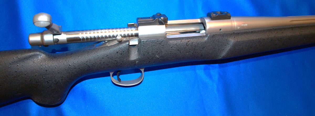 Remington Stainless Varmint Rifle .204 Ruger .204 Ruger For Sale at ...