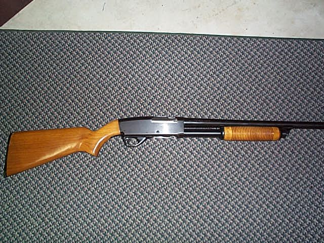 Springfield - Springfield 12 gauge pump shotgun - Picture 2