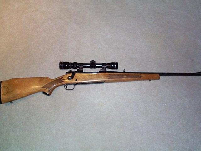 Sears Ted William SEARS, model 53 Bolt action 30-06 cali