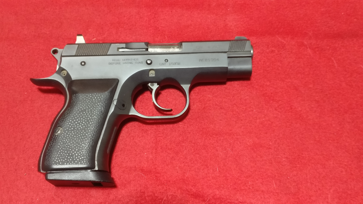 Eaa Tanfaglio Witness 45 Compact Steel Frame. .45 Acp For Sale at ...