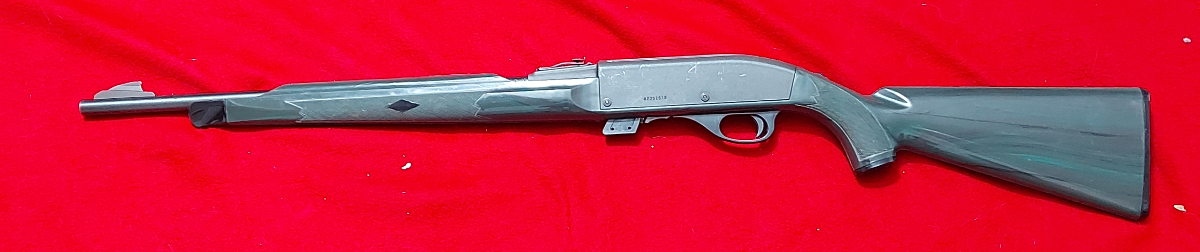 Remington Seneca Green Model 77 Semi Auto Rifle .22 Lr For Sale at ...