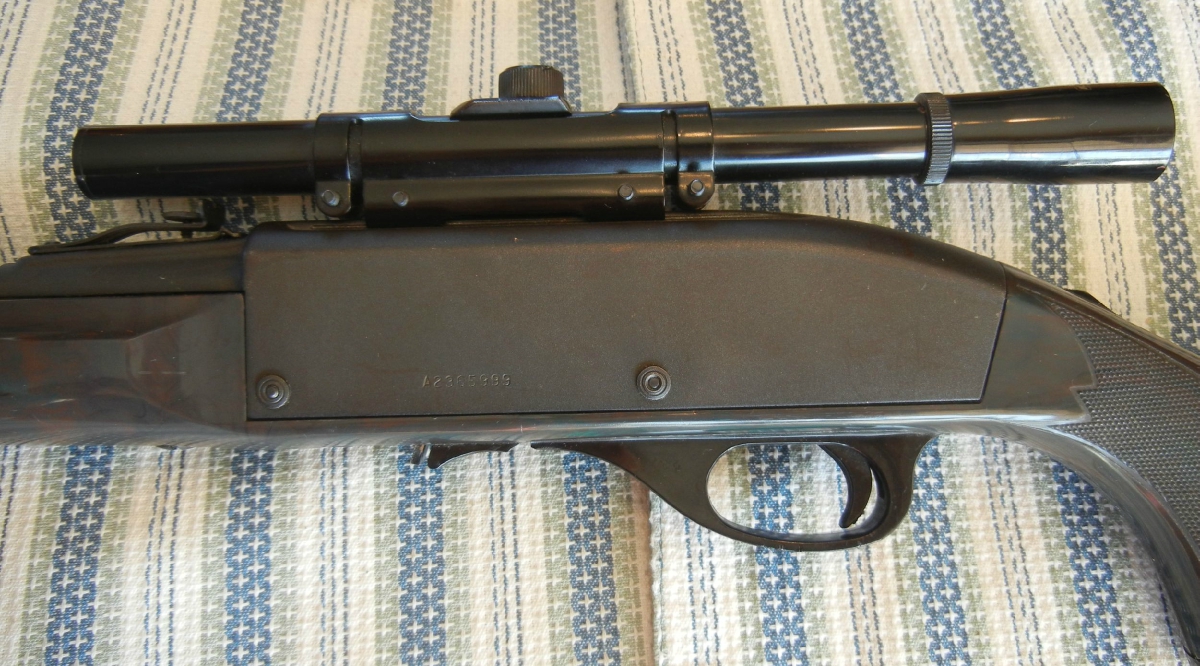 Remington Apache 77 Semi-Auto Matic .22 Cal .22 Lr For Sale at ...