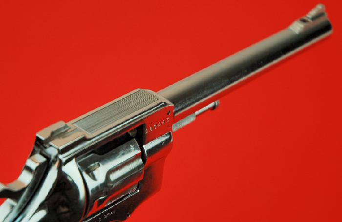 Burgo Mod Hw7 .22lr Stainless Steel Revolver For Sale at GunAuction.com ...