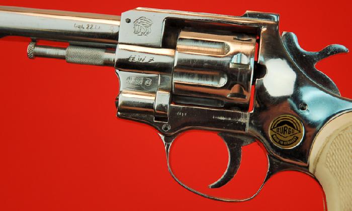 Burgo Mod Hw7 .22lr Stainless Steel Revolver For Sale at GunAuction.com ...