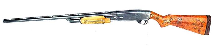 Revelation Model 300 .20ga Pump Action Shotgun For Sale at GunAuction ...